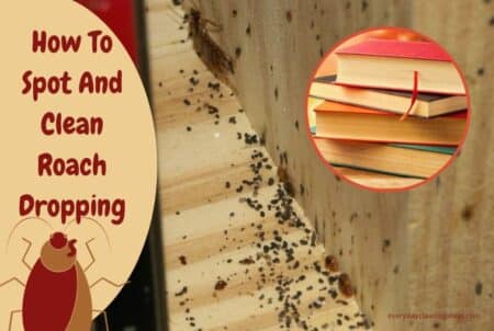 How to Safely Clean Roach Poop from Walls, Wood, Books, and Cabinets